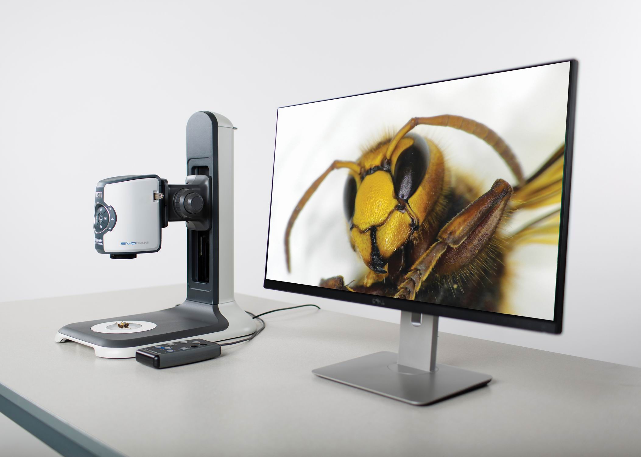 Leeport - Leeport Technology Ltd.